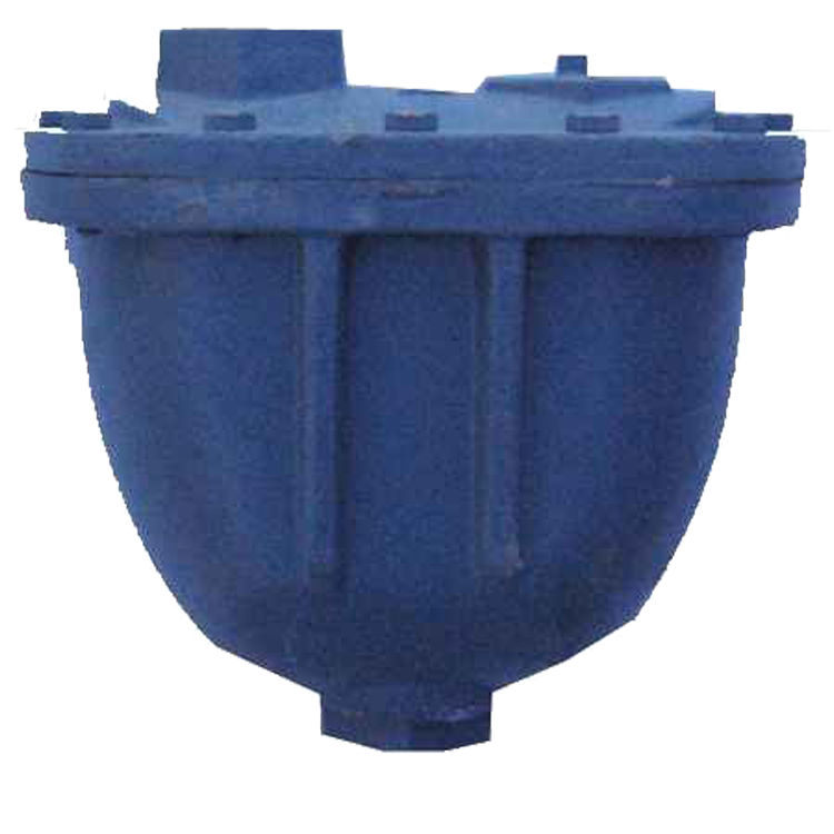 Valmatic 202C.2 2" Combination Air Valve Single Body | PlumbersStock